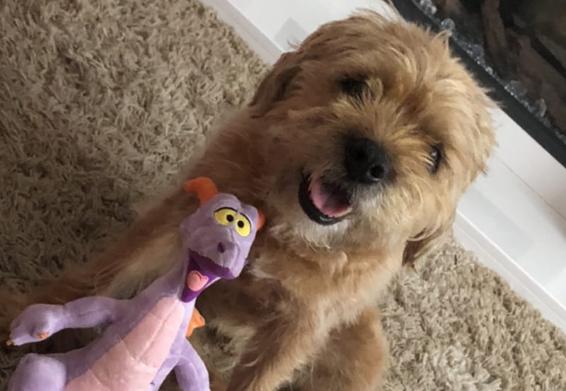 The Diabetes Story Of Cece Jessy – Diabetic Me