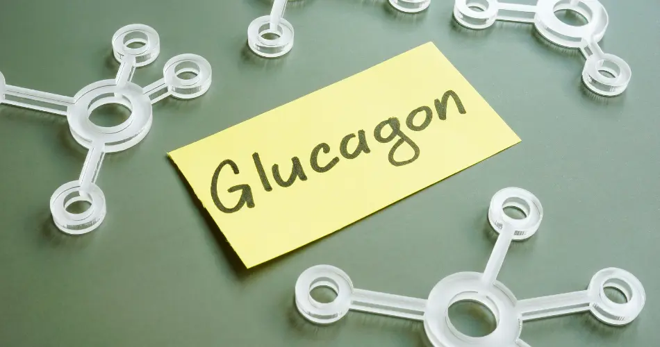 How To Use Glucagon: A Step-by-Step Guide For Emergency Situations ...